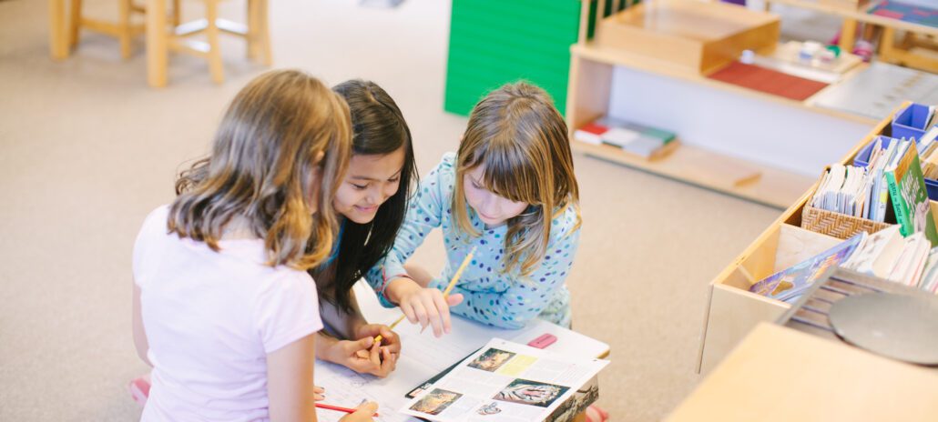 AMIS (1) - Endeavor Schools